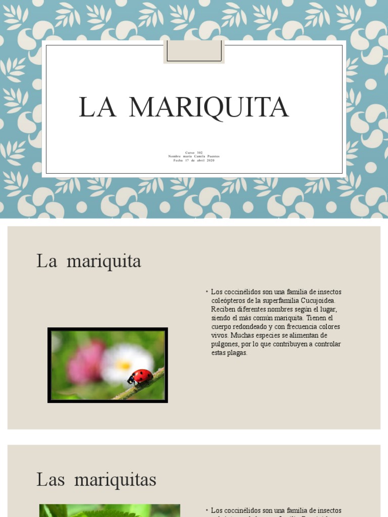 La Mariquita | PDF
