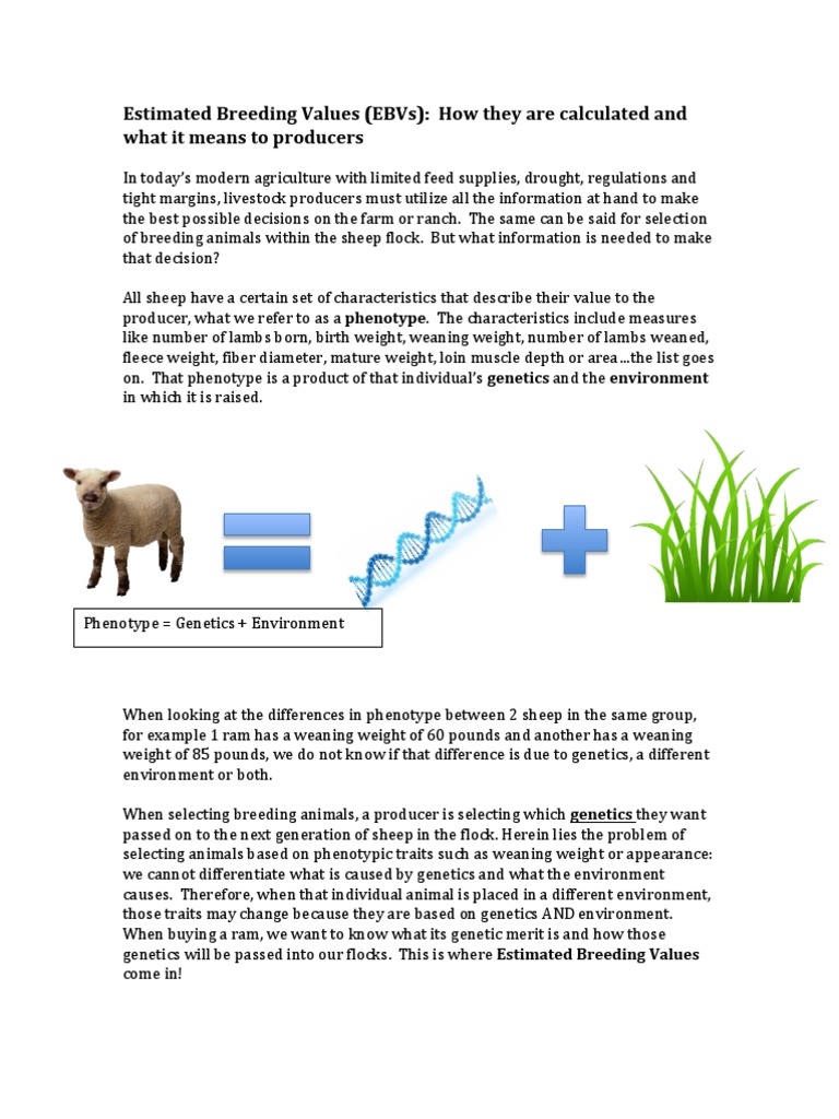 Estimated Breeding Values (Ebvs) : How They Are Calculated and What It ...