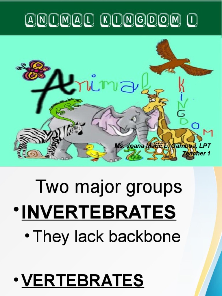 Overview of Animal Phyla: Invertebrates | PDF