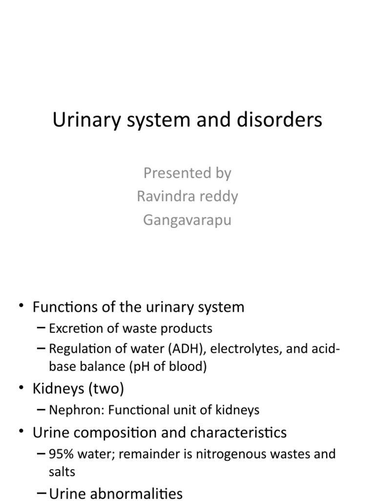 Urinary System and Disorders | PDF | Kidney | Urinary System