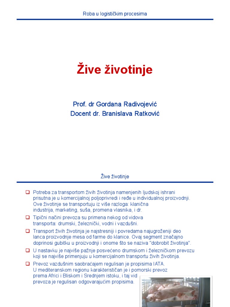 5 Zive Zivotinje | PDF