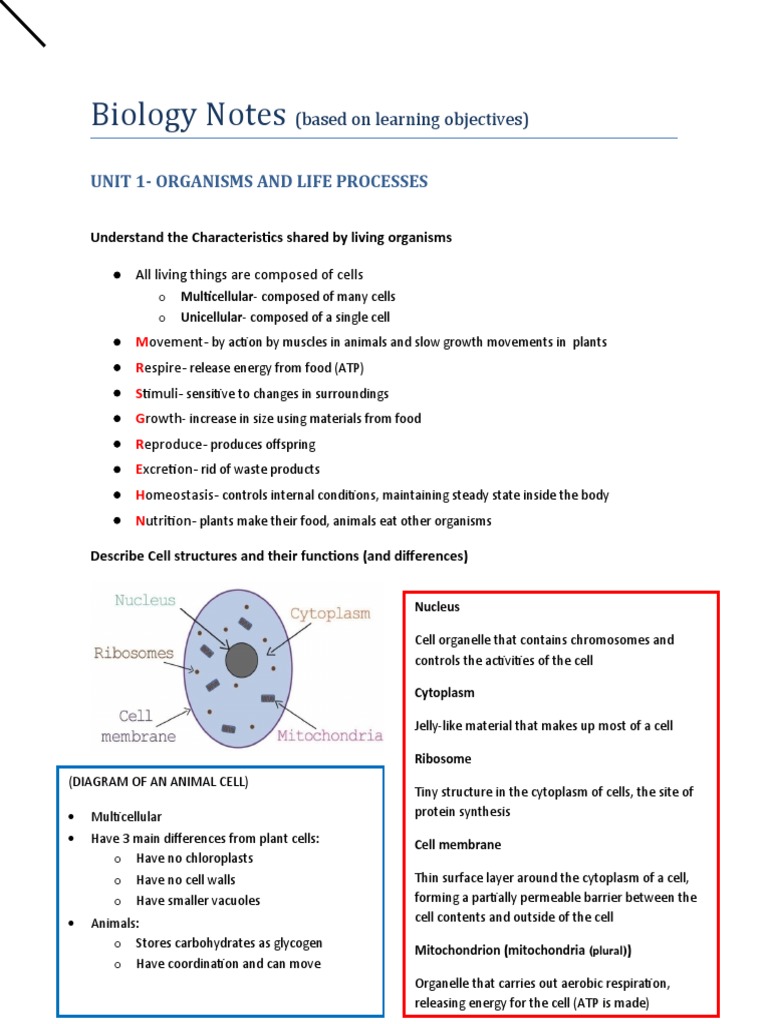 Biology Notes Paper 1 (Finnished) | PDF | Atrium (Heart) | Heart