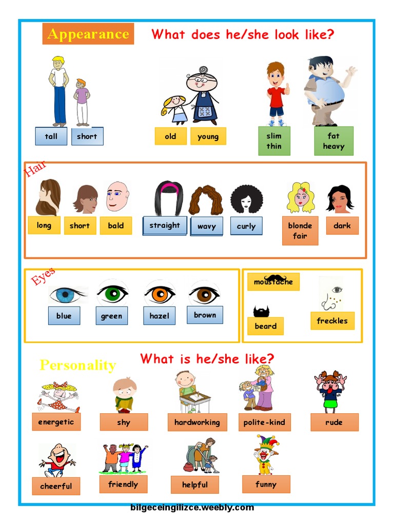 Appearance: What Does He/she Look Like? | PDF