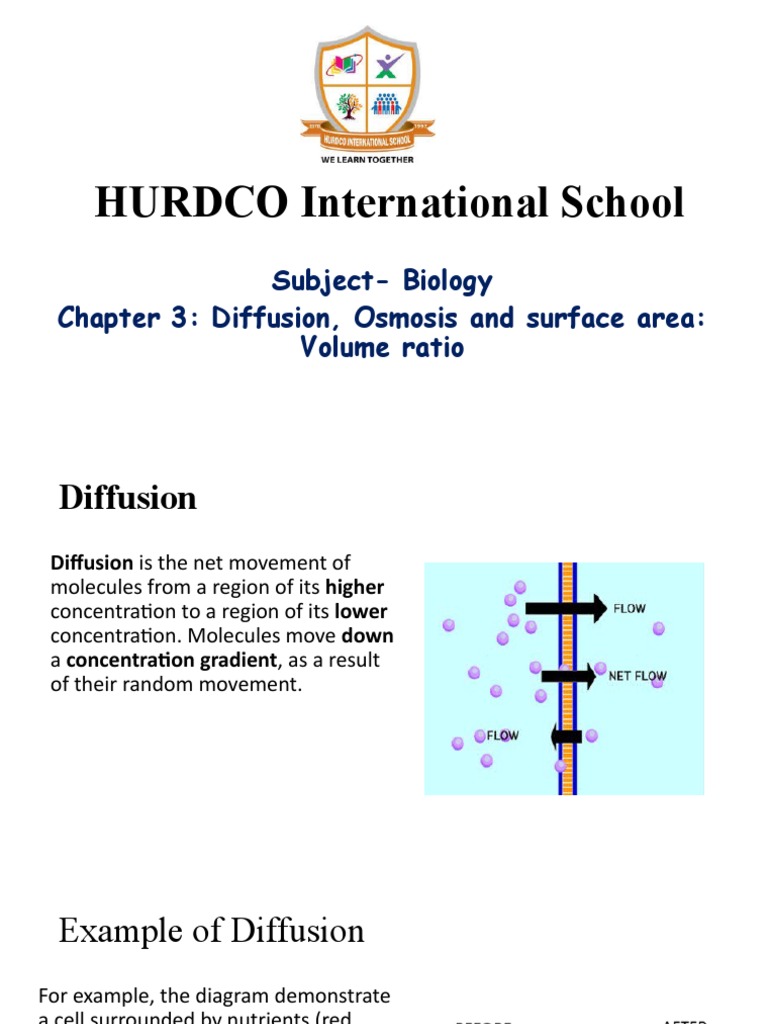 HURDCO International School: Subject-Biology Chapter 3: Diffusion, Osmosis and Surface Area ...