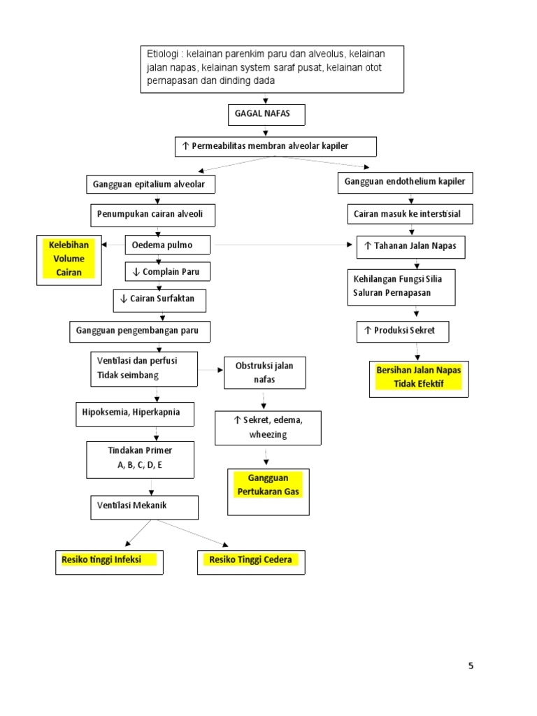 Pathway Gagal Napas | PDF