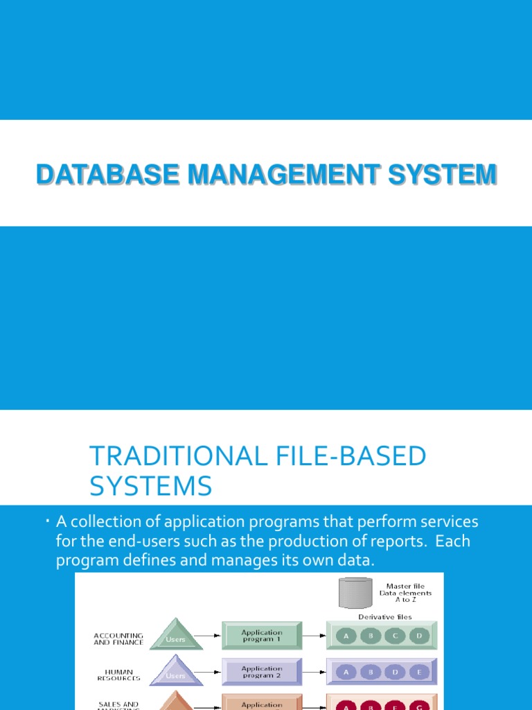 Database Management System | PDF | Relational Database | Databases
