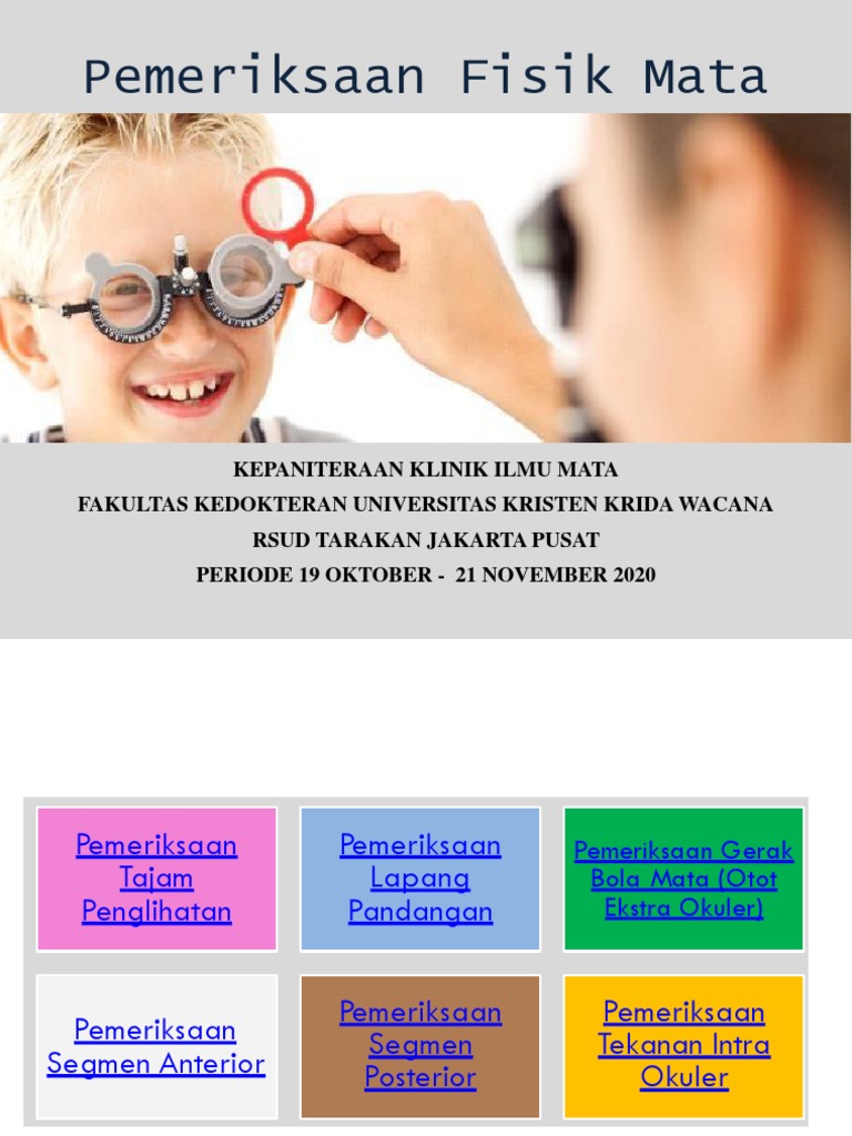 Pemeriksaan Fisik Mata | PDF
