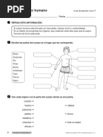 Lengua 4 SM Tema 2 Repaso | PDF | Sustantivo | Idiomas