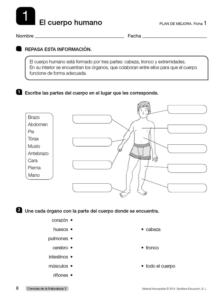 Ciencias Naturales Santillana 3 Primaria Tema 1 Repaso | PDF | Cuerpo ...