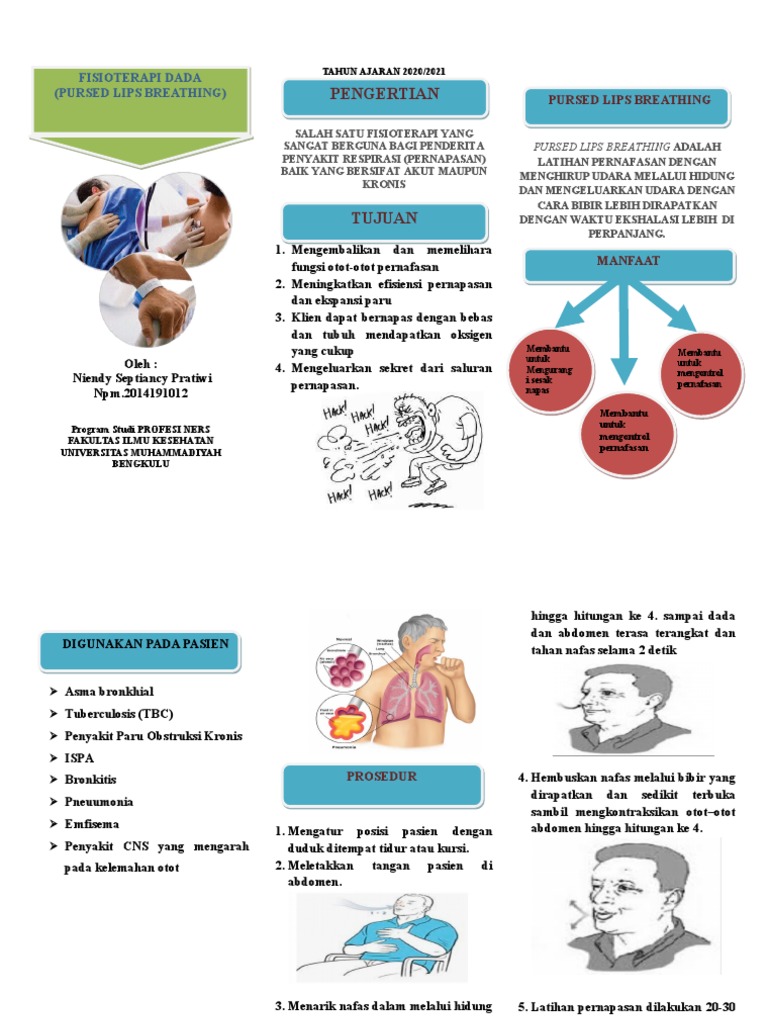 Leaflet Fisioterapi Dada Nindy | PDF