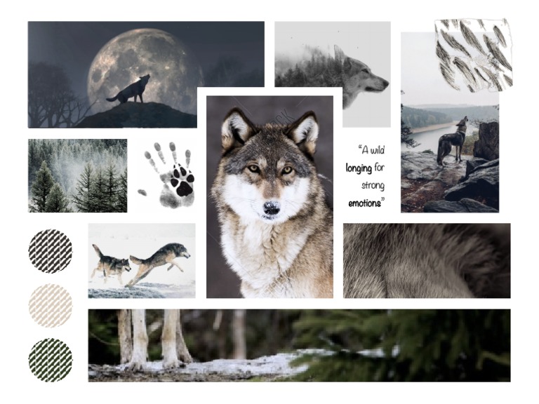 Wolf - Wild Longing | PDF