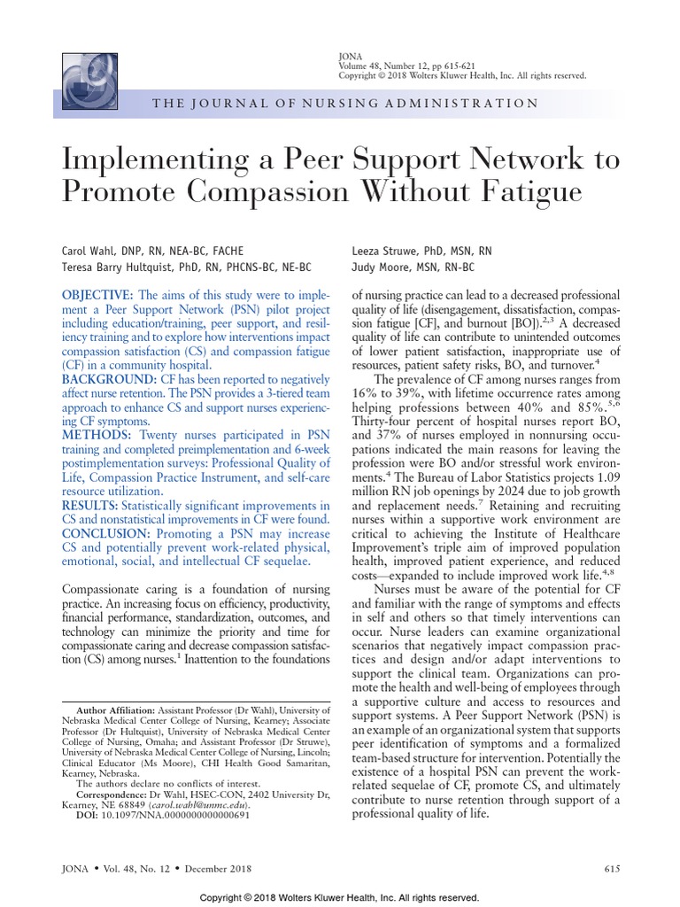 Implementing A Peer Support Network To Promote Compassion Without ...