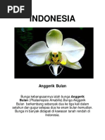 Alat Muzik Erofon | PDF