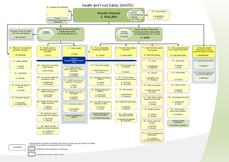 Organisation Chart DG Sante en | PDF | Primary Care Physician | Wellness
