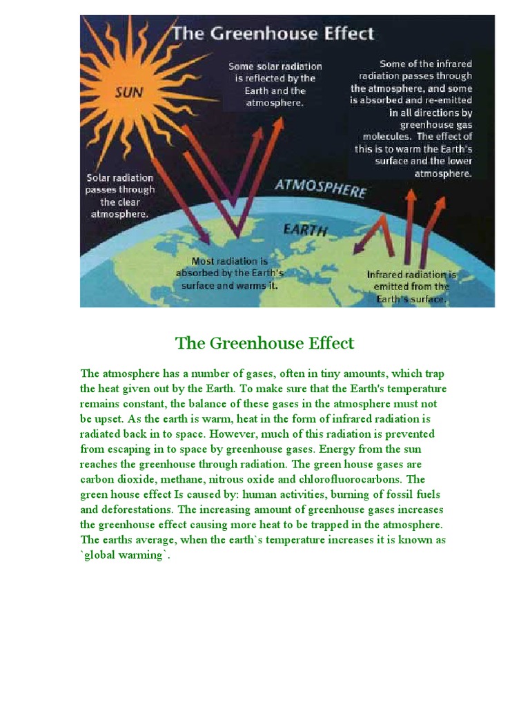 The Greenhouse Effect Pdf