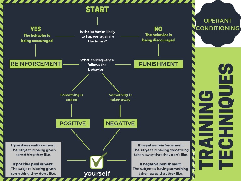 Flowchart of Training Techniques | PDF