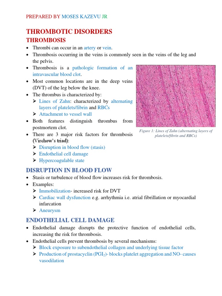 MK Thrombotic Disorders PDF | PDF | Thrombosis | Thrombus