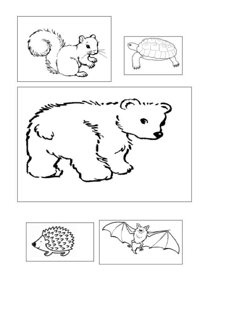 Animales Que Hibernan | PDF