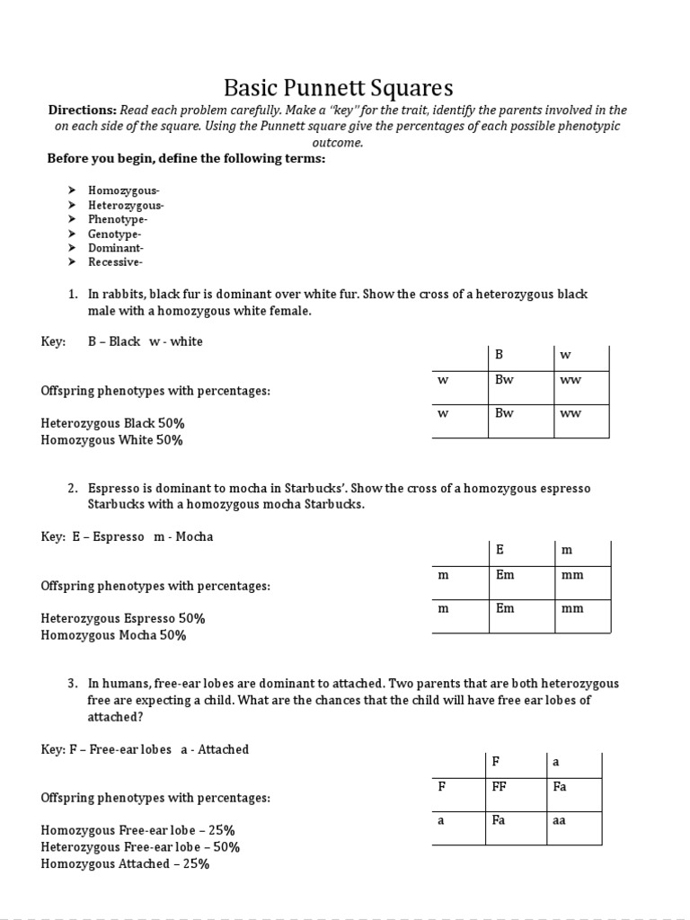 Bio Punnett Squares Worksheet | PDF | Dominance (Genetics) | Zygosity
