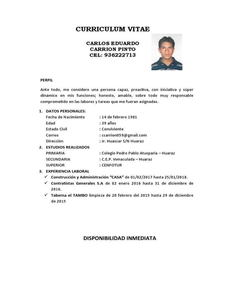 CURRICULUM VITAE Carlos | PDF