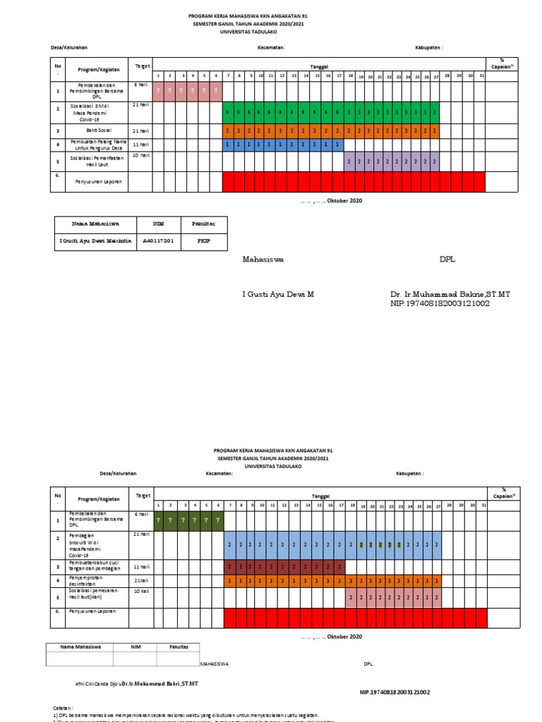 Program Kerja Desa Tambu | PDF