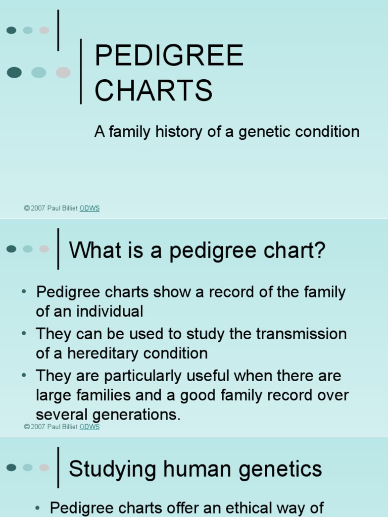 Making A Pedigree Chart | PDF | Dominance (Genetics) | Genetic Disorder
