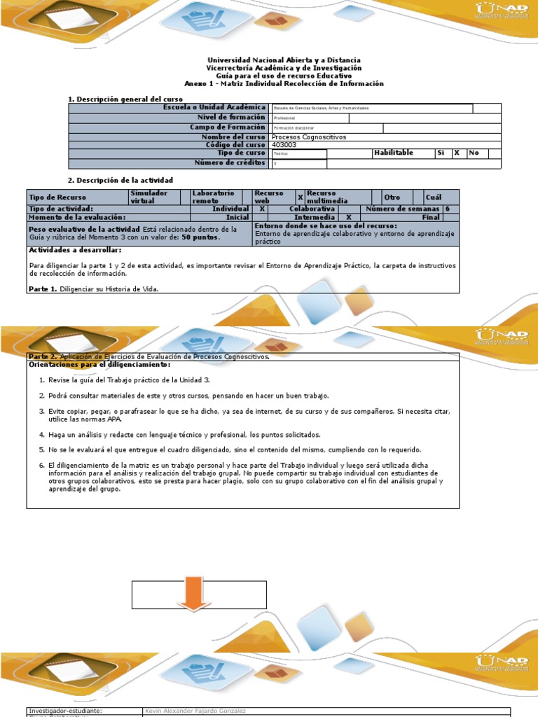 Anexo 1 - Matriz Individual Recolección de Información | PDF | Memoria ...