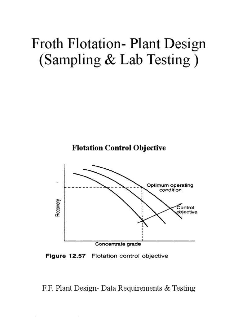 Flotation Plant Design - LAB PILOT PLANT | PDF | Chemistry | Industrial ...