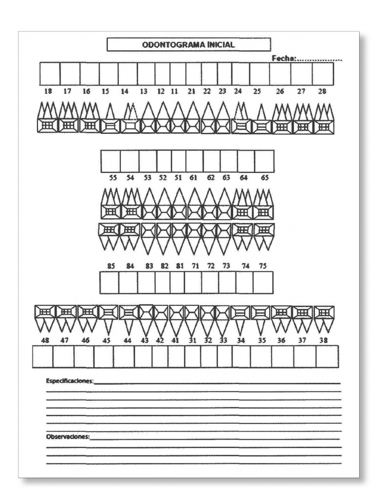 Odontogram PDF | PDF