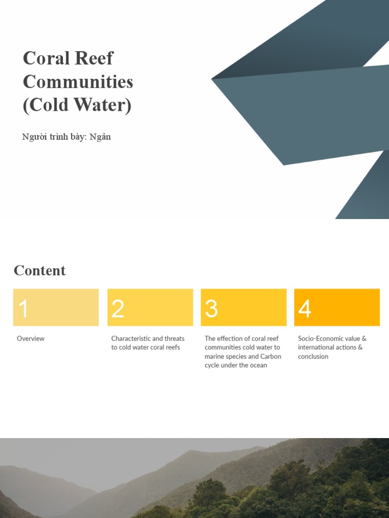 Coral Reef Communities (Cold Water) | PDF | Coral Reef | Coral