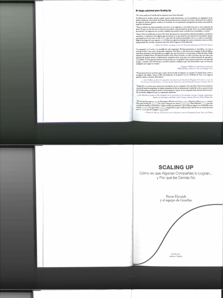 Libro Scaling Up PDF | PDF
