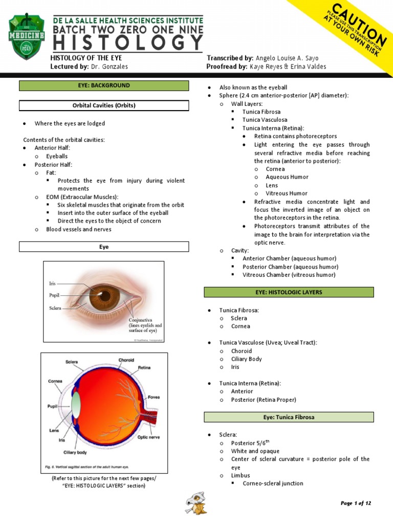 Histology of The Eye Lectured By: Dr. Gonzales Transcribed By: Angelo ...