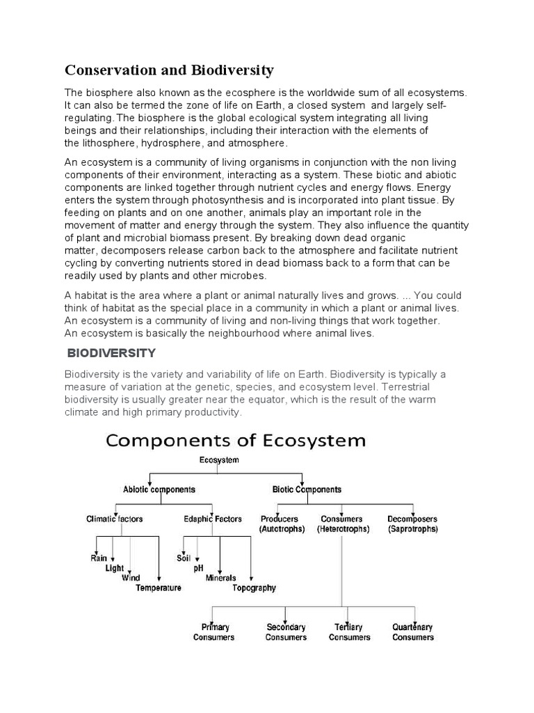 Conservation and Biodiversity-2 | PDF | Ecosystem | Biodiversity
