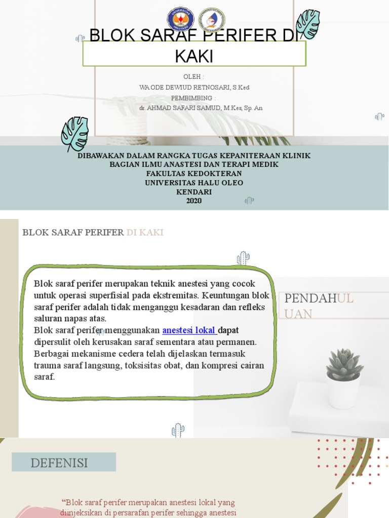Blok Saraf Perifer Di Kaki - Wa Ode Dewiud Retnosari | PDF