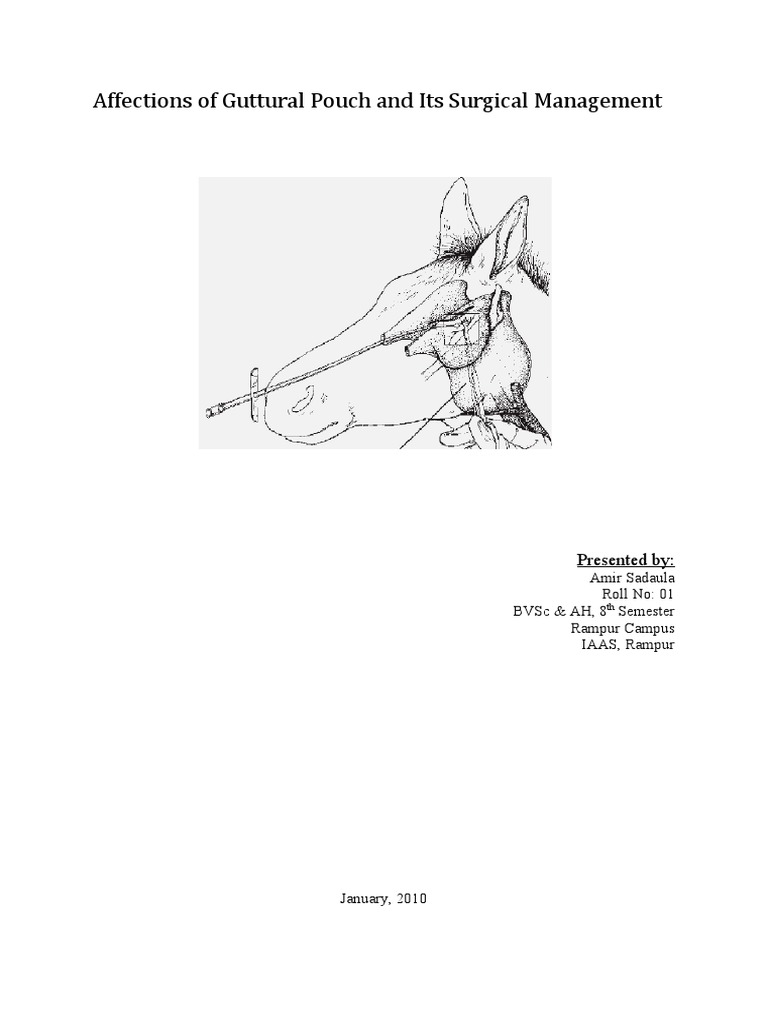 Affection of Guttural Pouch | PDF | Human Anatomy | Clinical Medicine