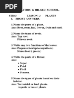 Daily Lesson Plan SCIENCE 4 WEEK 3 | PDF | Leaf | Plants