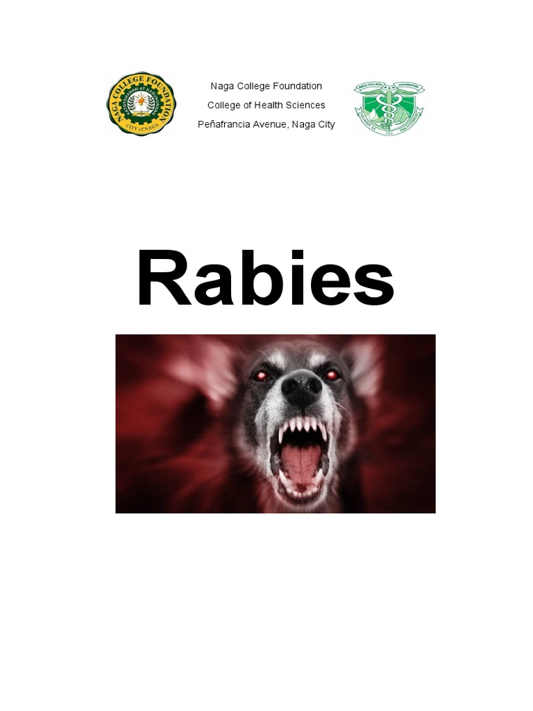 Rabies HE Final | PDF | Rabies | Infection
