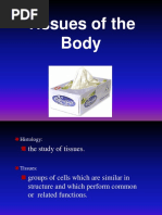 Chapt04 Lecture 12e Accessible | PDF | Epithelium | Connective Tissue