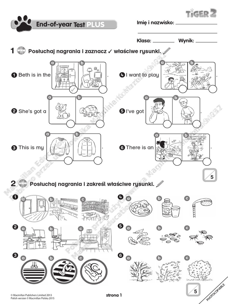 Tiger 2 End-Of-year Test PLUS | PDF