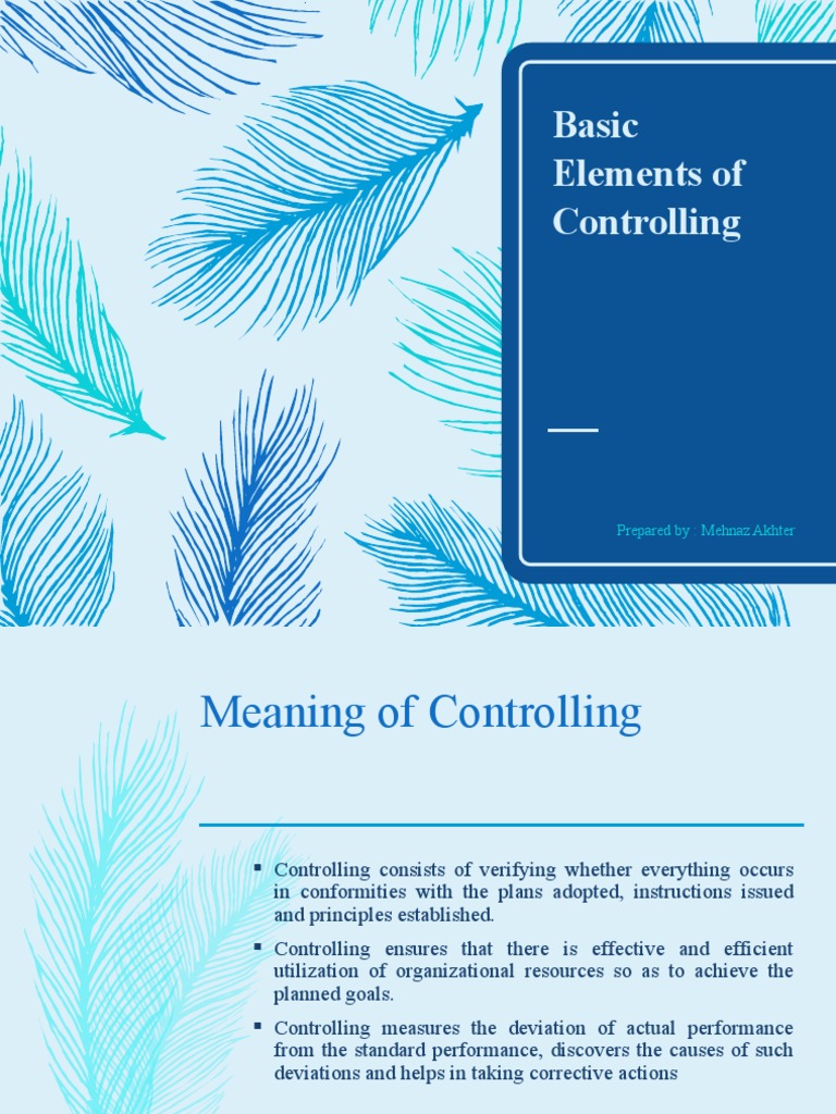 Basic Elements of Controlling | Download Free PDF | Attitude ...