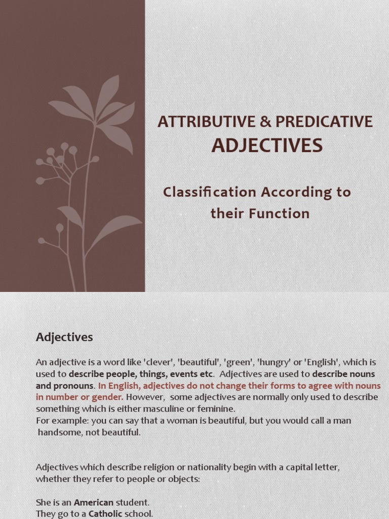 Attributive Predicative Adjectives | PDF | Adjective | Noun