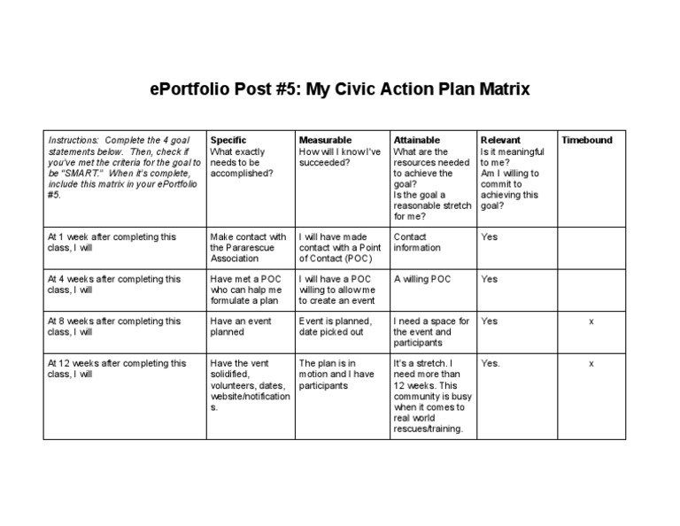 Civic Action Plan Matrix Guide | PDF | Goal | Behavior Modification