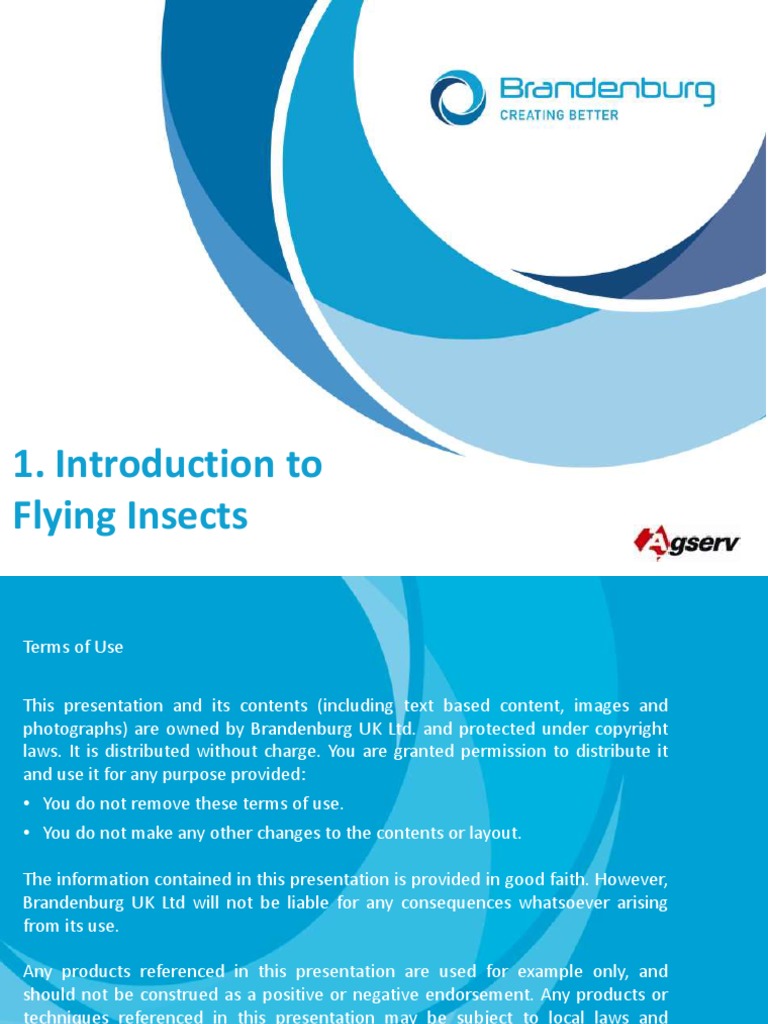 Introduction To Flying Insects | PDF | Foodborne Illness | Fly