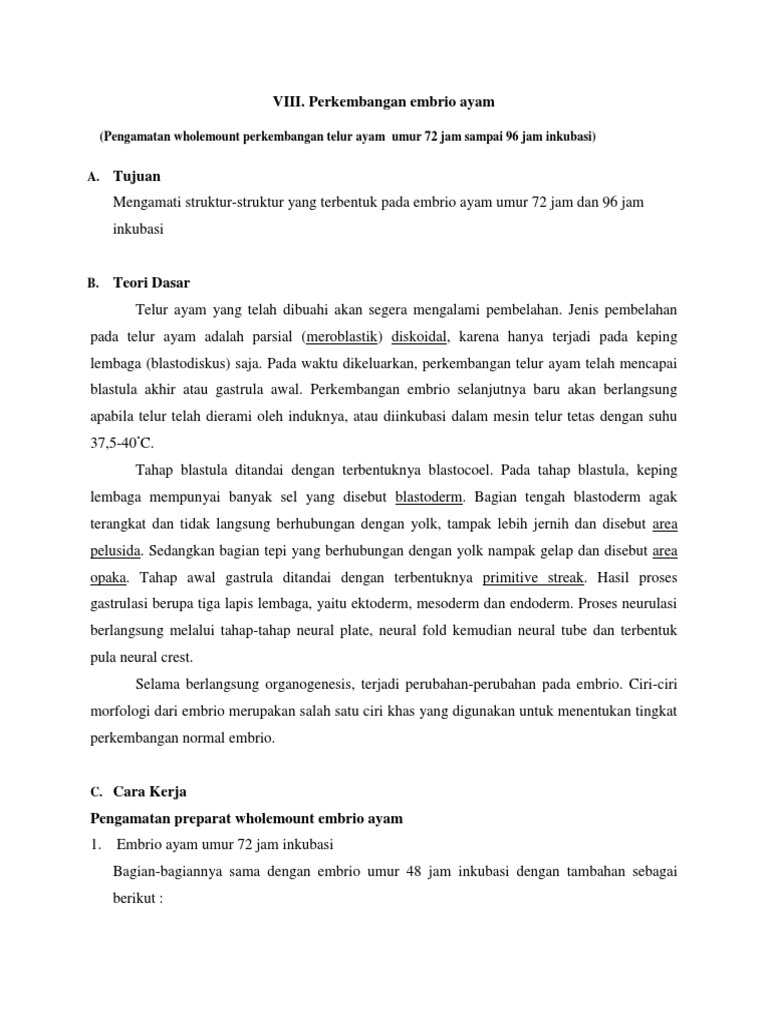 Perkembangan Struktur Utama Embrio Ayam Selama Inkubasi | PDF