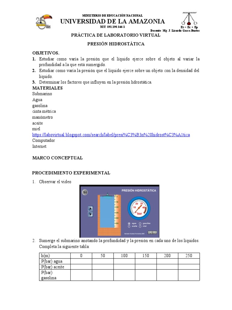 Práctica Virtual: Presión Hidrostática | PDF | Presión | Líquidos