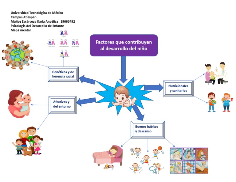Mapa Conceptual Desarrollo Del Infante | PDF