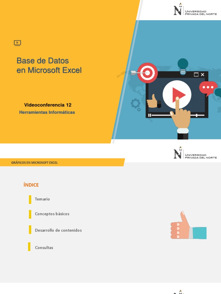 Base de Datos en Excel: Guía Práctica | PDF | Microsoft Excel | Microsoft