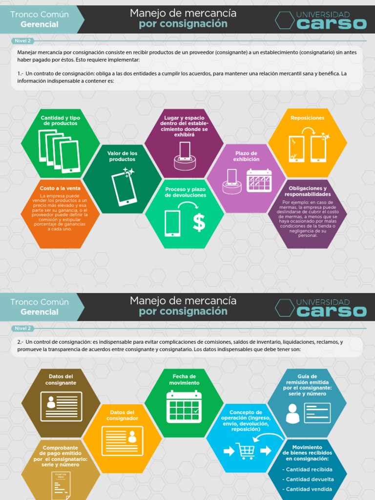 Manejo de Mercancias Por Consignacion | PDF | Bienes | Pagos