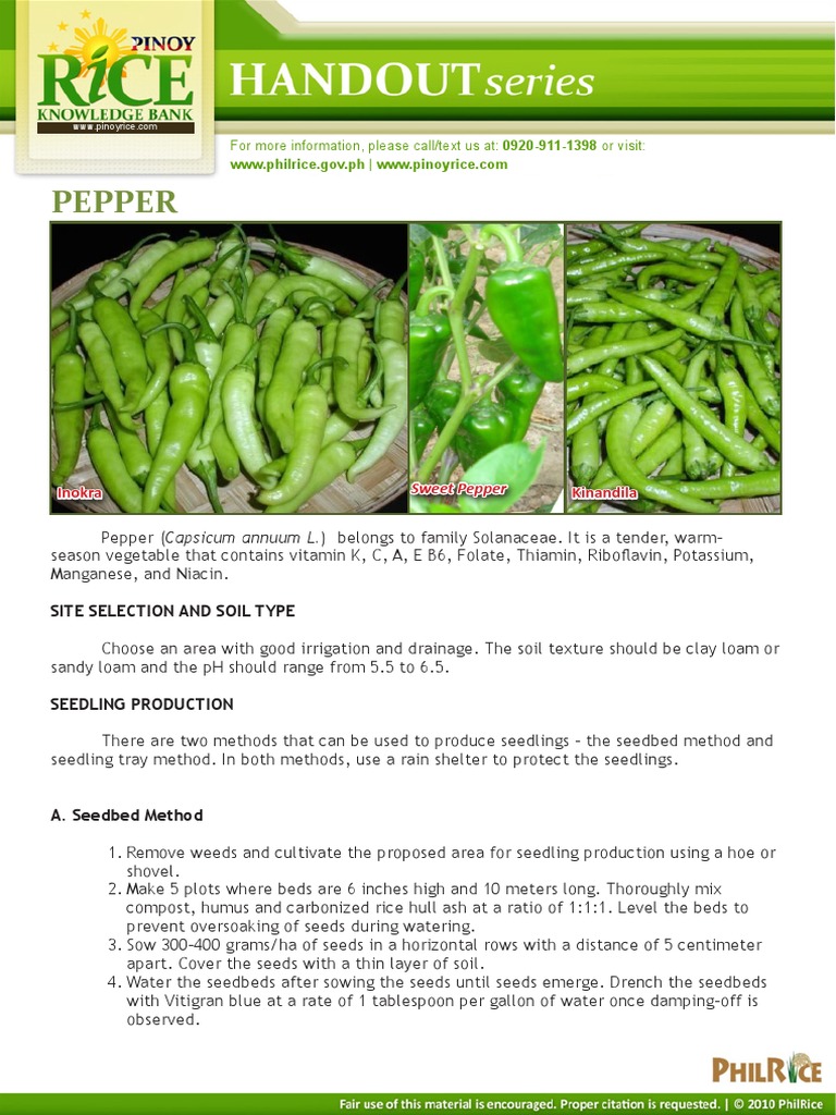 Pepper PDF | Download Free PDF | Seedling | Seed