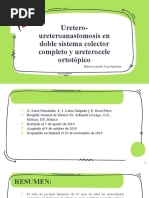 Quiste de Inclusion Epidermica | PDF | Piel | Ultrasonido médico